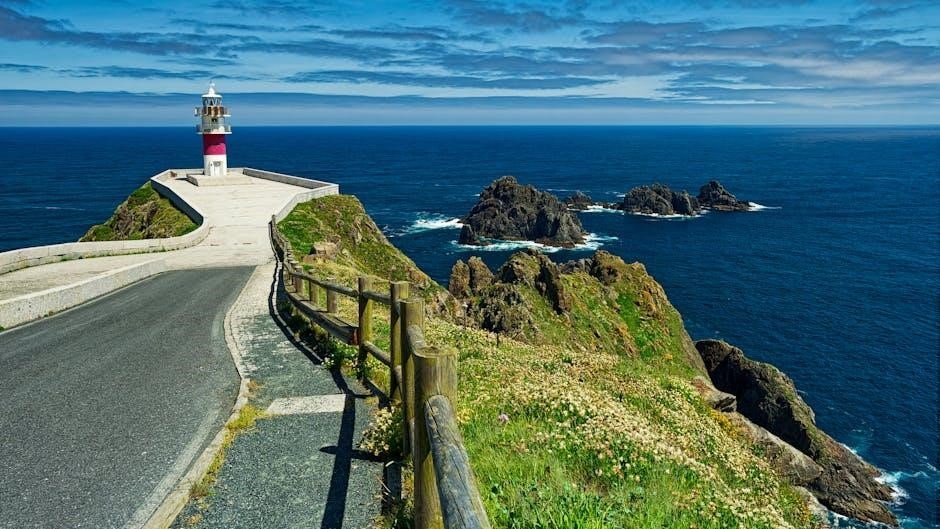 Ultimate PWD Grooming Guide: Tips for Clean & Organized Data